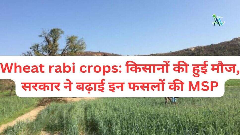 Wheat rabi crops: किसानों की हुई मौज, सरकार ने बढ़ाई इन फसलों की MSP ...